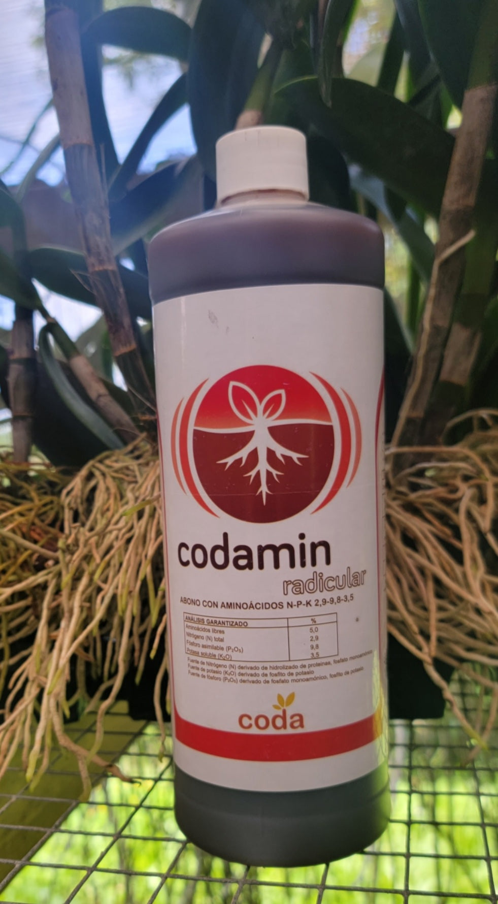 Codamin Radicular Fertilizer – Orquídeas del Turabo